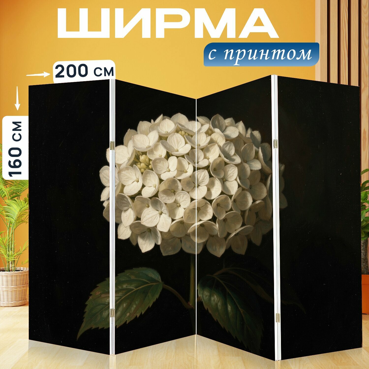 Ширма "Белая гортензия на темном фоне. Одиночное кремово-молочное соцветие с зелеными листьями в винтажной." перегородка для зонирования комнаты с принтом 200x160 см. на холсте