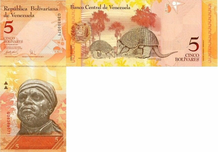 Венесуэла 5 боливар 2007-2014 Гигантские броненосцы UNC