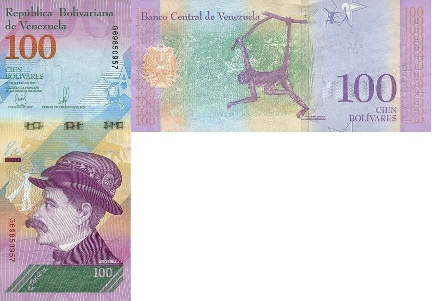 Венесуэла 100 боливар 2018 Северный паук UNC