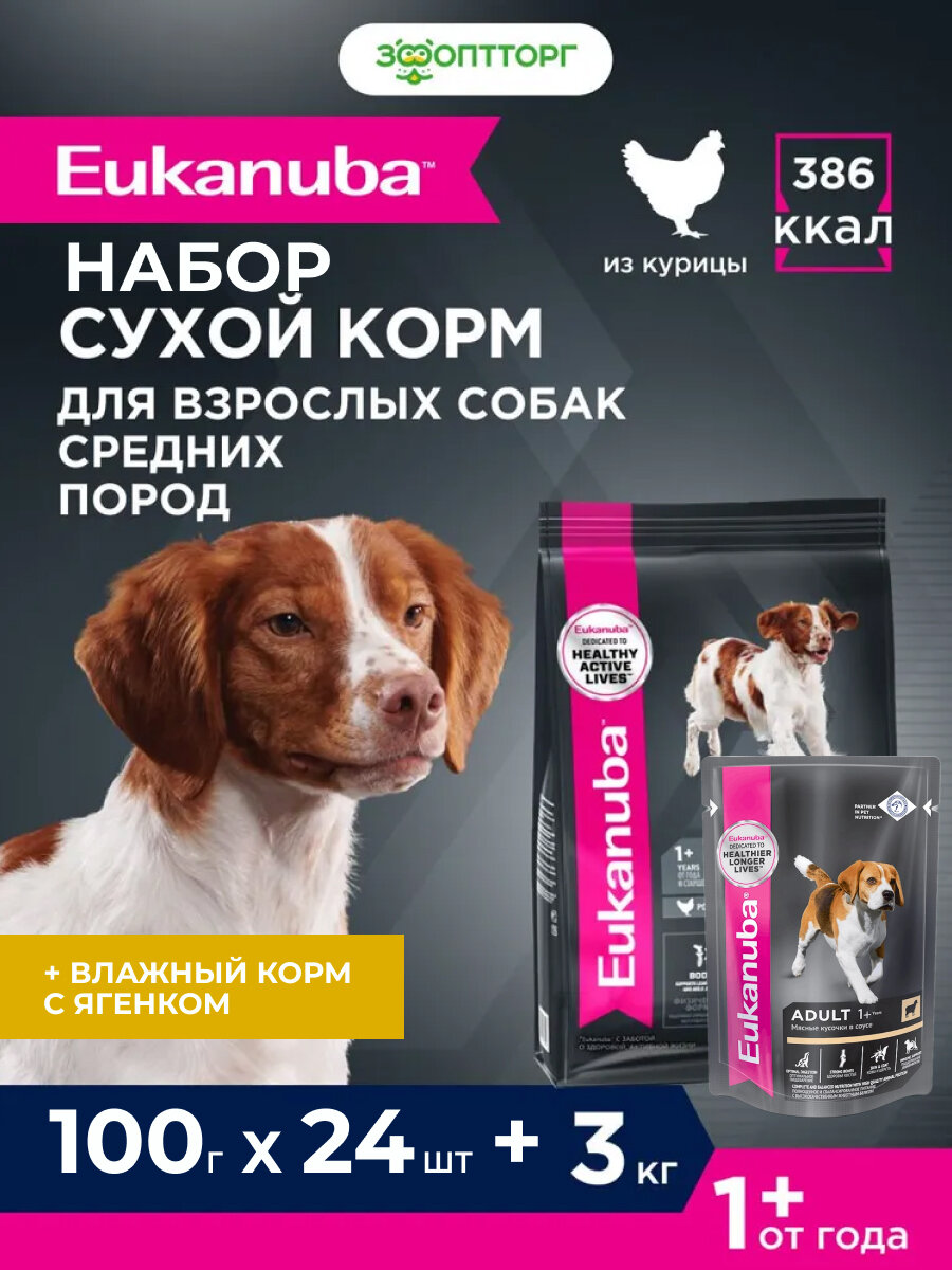Комбо-набор Eukanuba сухой+влажный для взрослых собак средних пород, Птица, ягненок, 3 кг + 100 г х 24 шт.