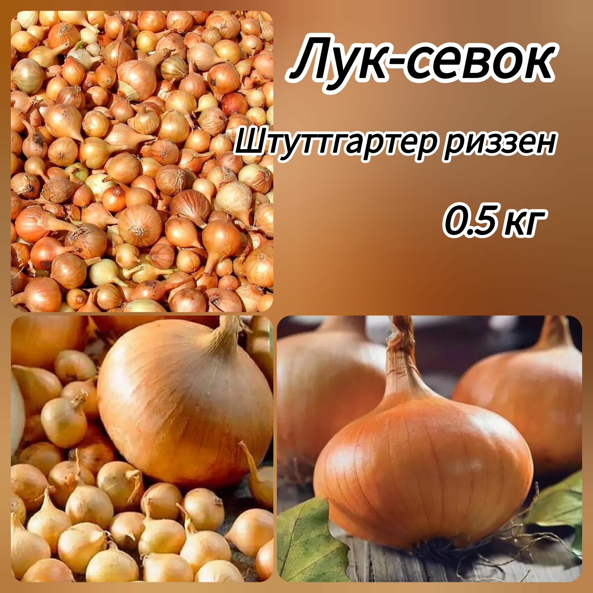 Лук- севок Штуттгатер Риззен, 0.5кг, 0,5кг.