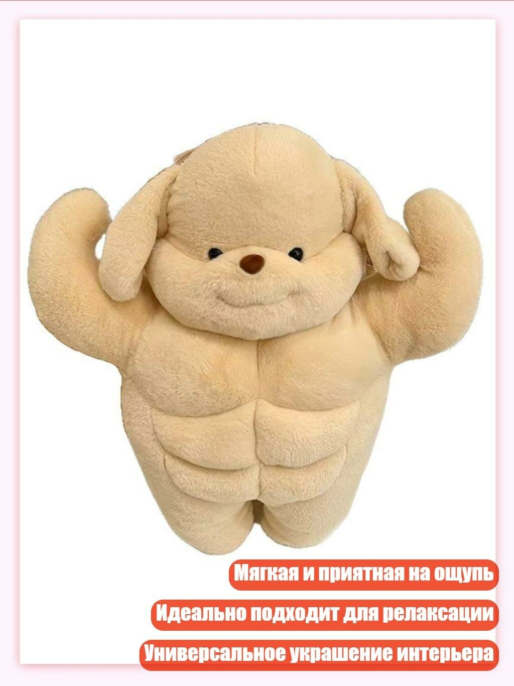 Плюшевый терьер-пудель, 1