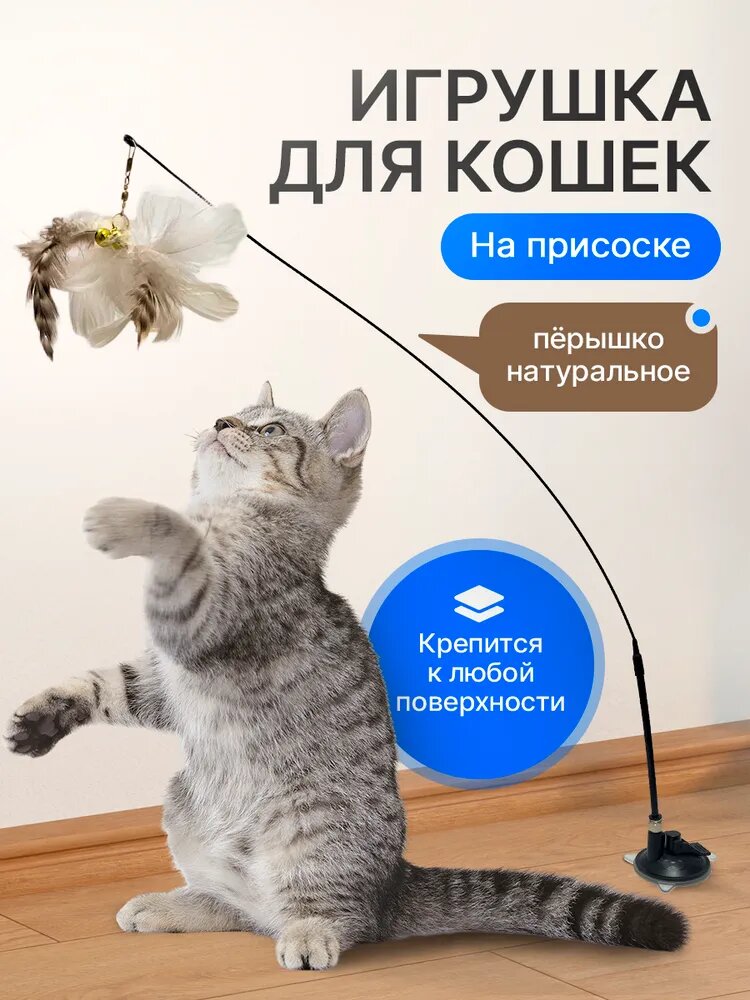 Игрушка для кошек интерактивная, удочка дразнилка на присоске / зоотовары для котят и кошек