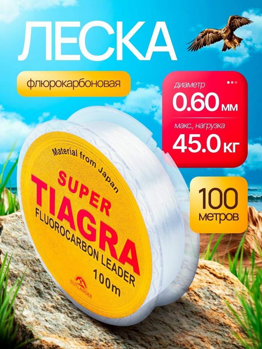 Леска флюрокарбоновая для рыбалки 0,60мм 100м для спиннинга, фидера