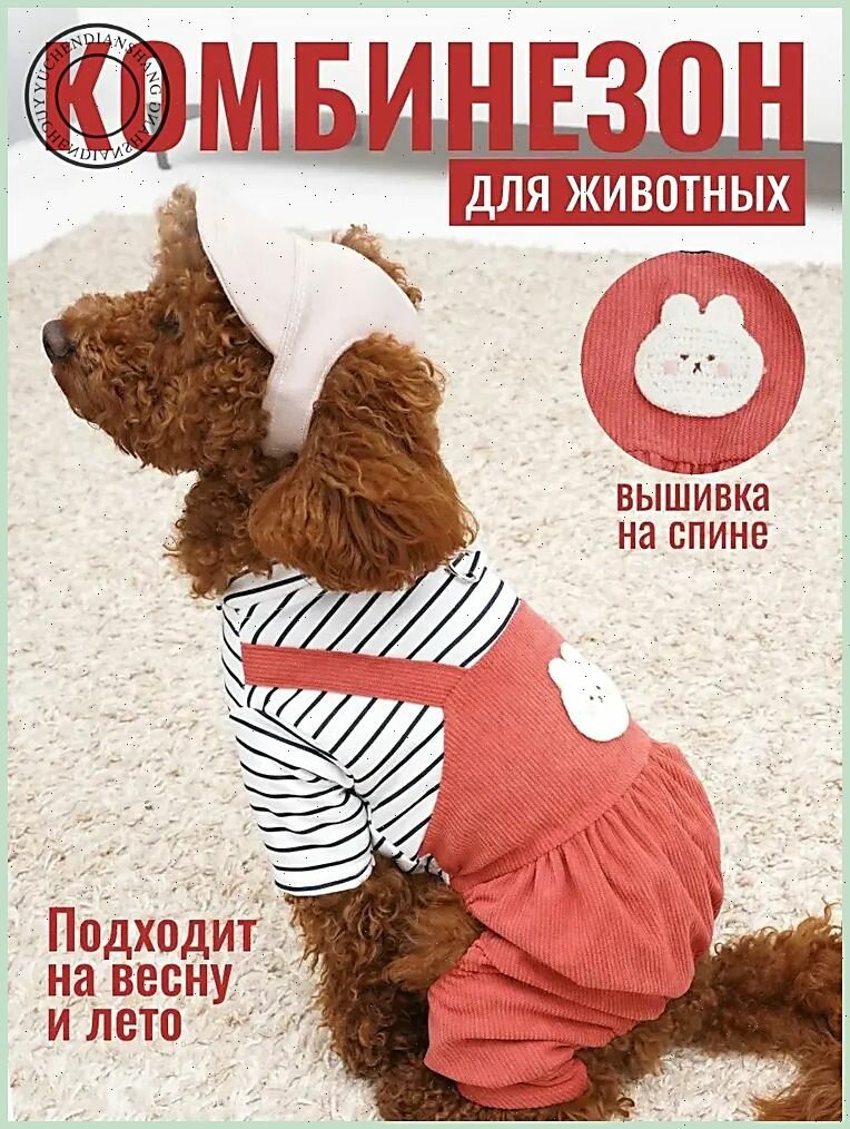 Одежда для собак комбинезон