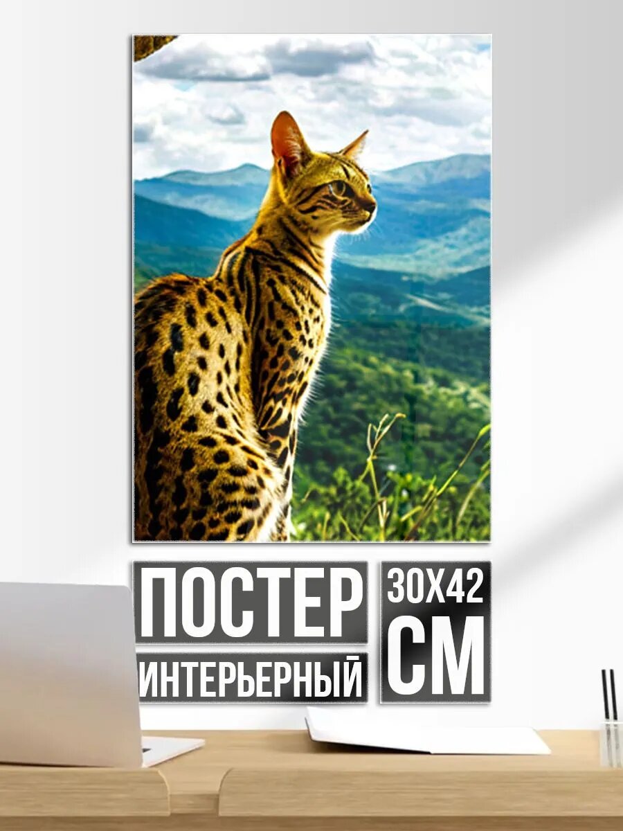 Постер на стену Кошка саванна в горах