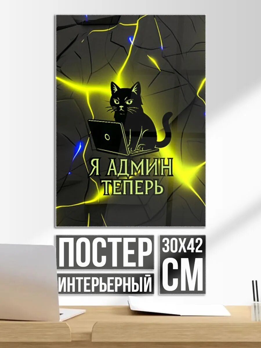 Постер на стену Кот админ за ноутбуком
