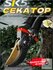 Секатор