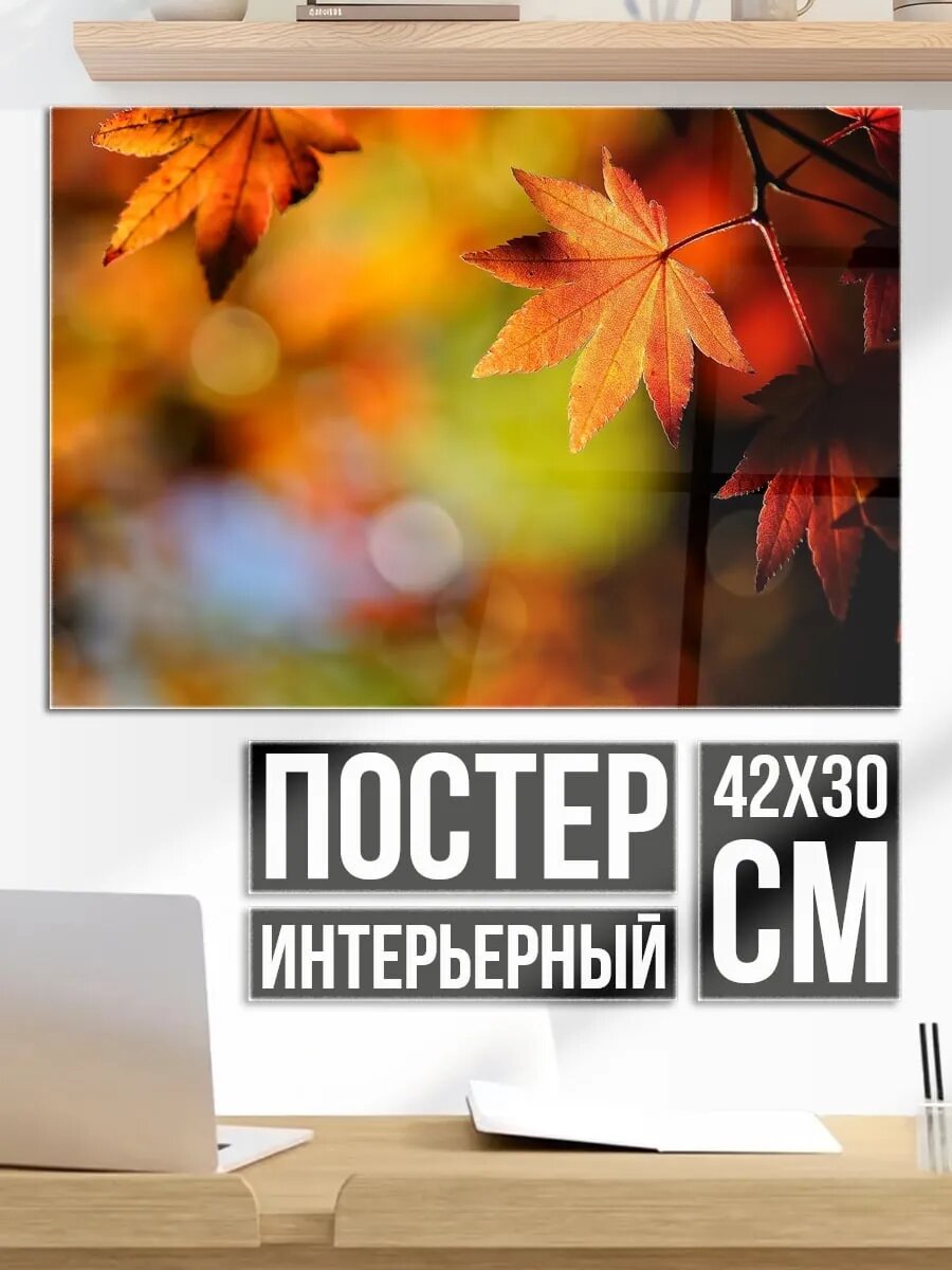 Плакат постер Осенние листья