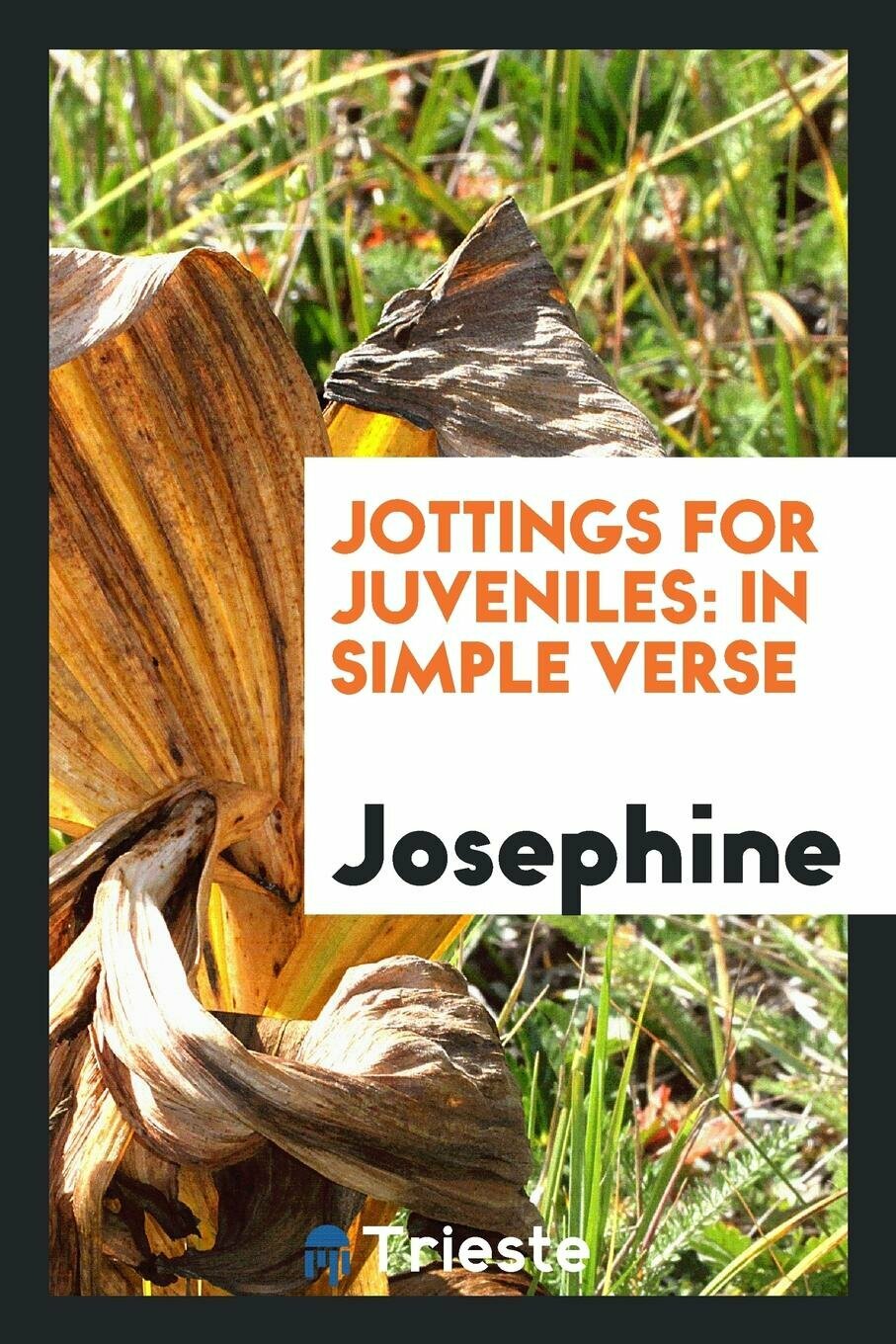 Jottings for Juveniles. In Simple Verse