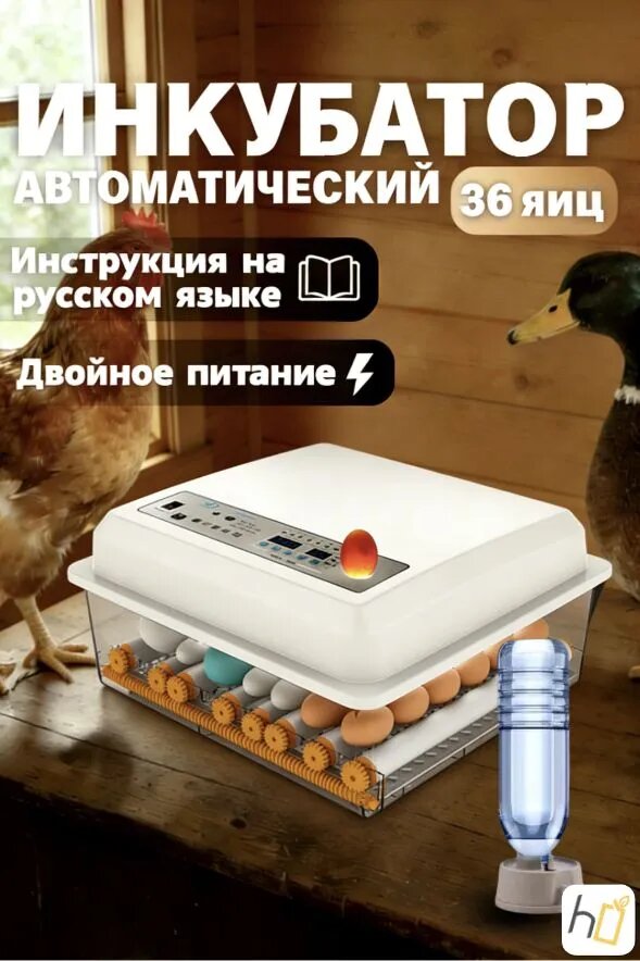 G36 инкубатор с термостатом, большой двигатель, автоматическое перемещение 36 яиц, 220v, двойное питание, автоматическое водоснабжение Русские инструкции