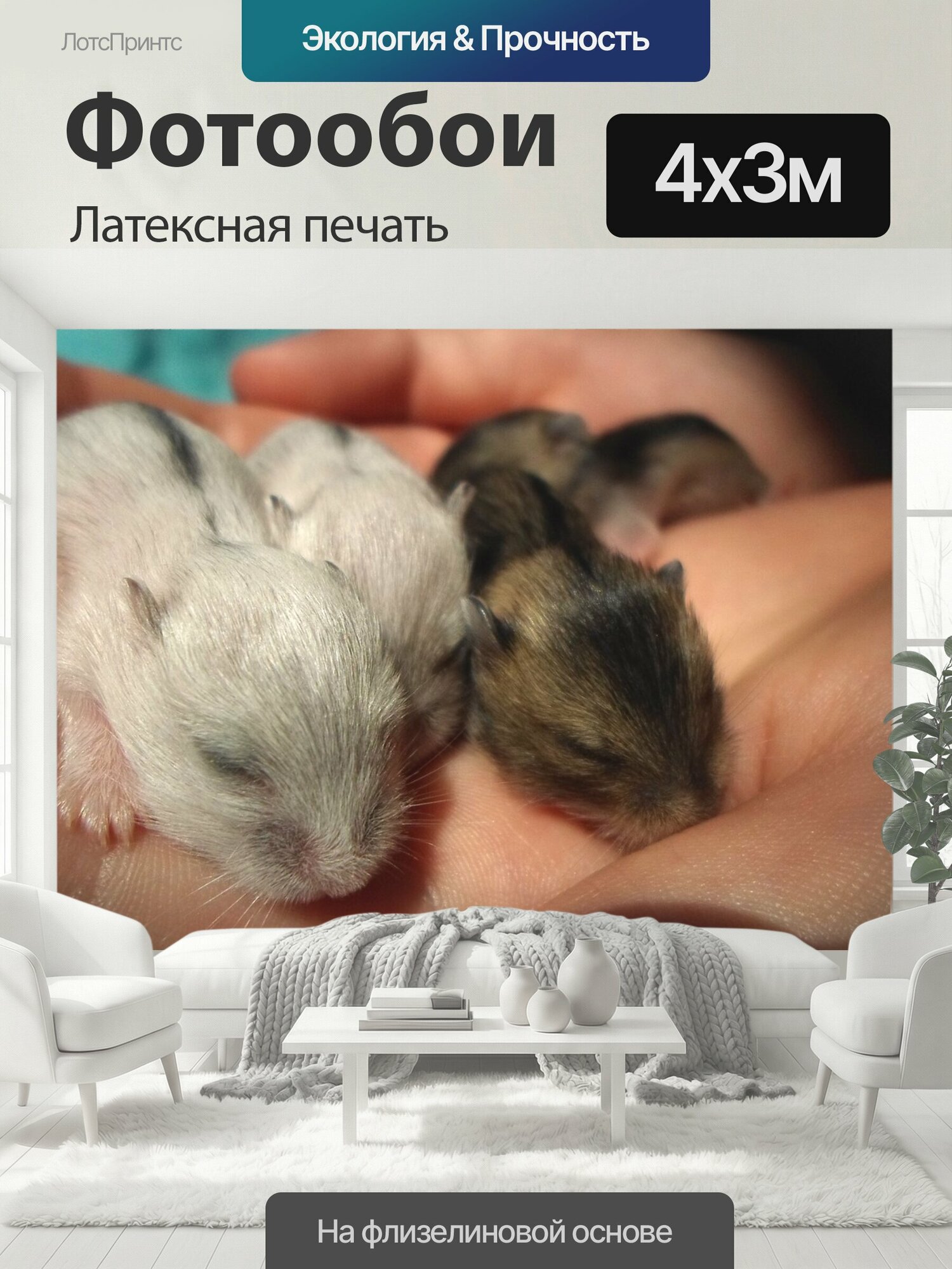 Фотообои моющиеся ударопрочные "Хомяк пупс, хомячок, хомячок щенков" 400x300 см. латексная печать