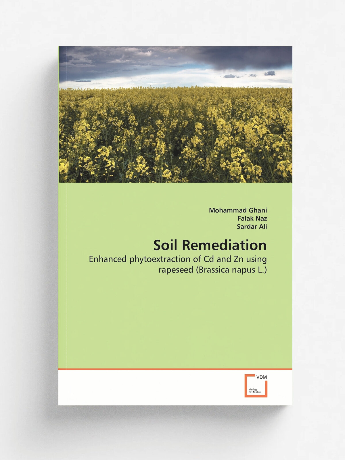 Soil Remediation
