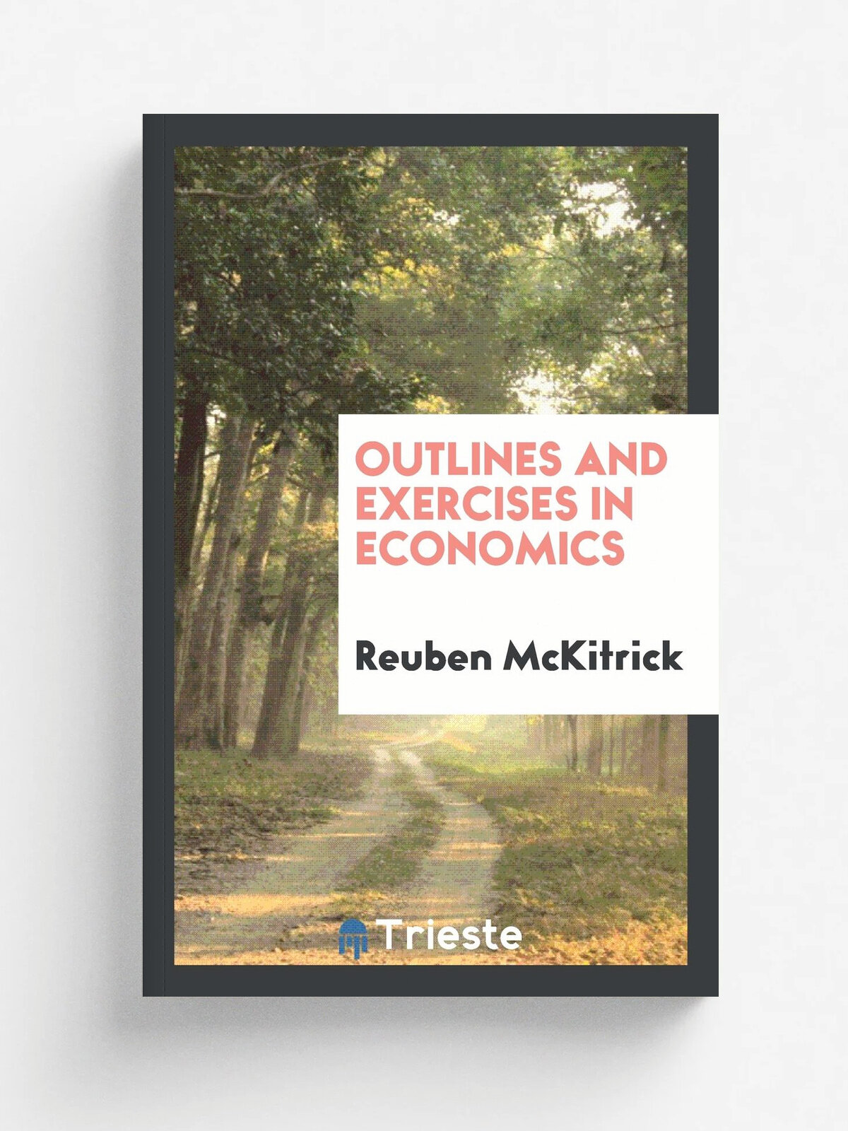 Outlines and exercises in economics