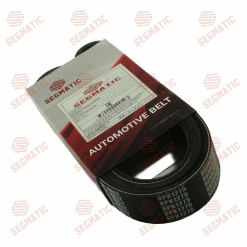 Ремень поликлин Segmatic SGSB3060