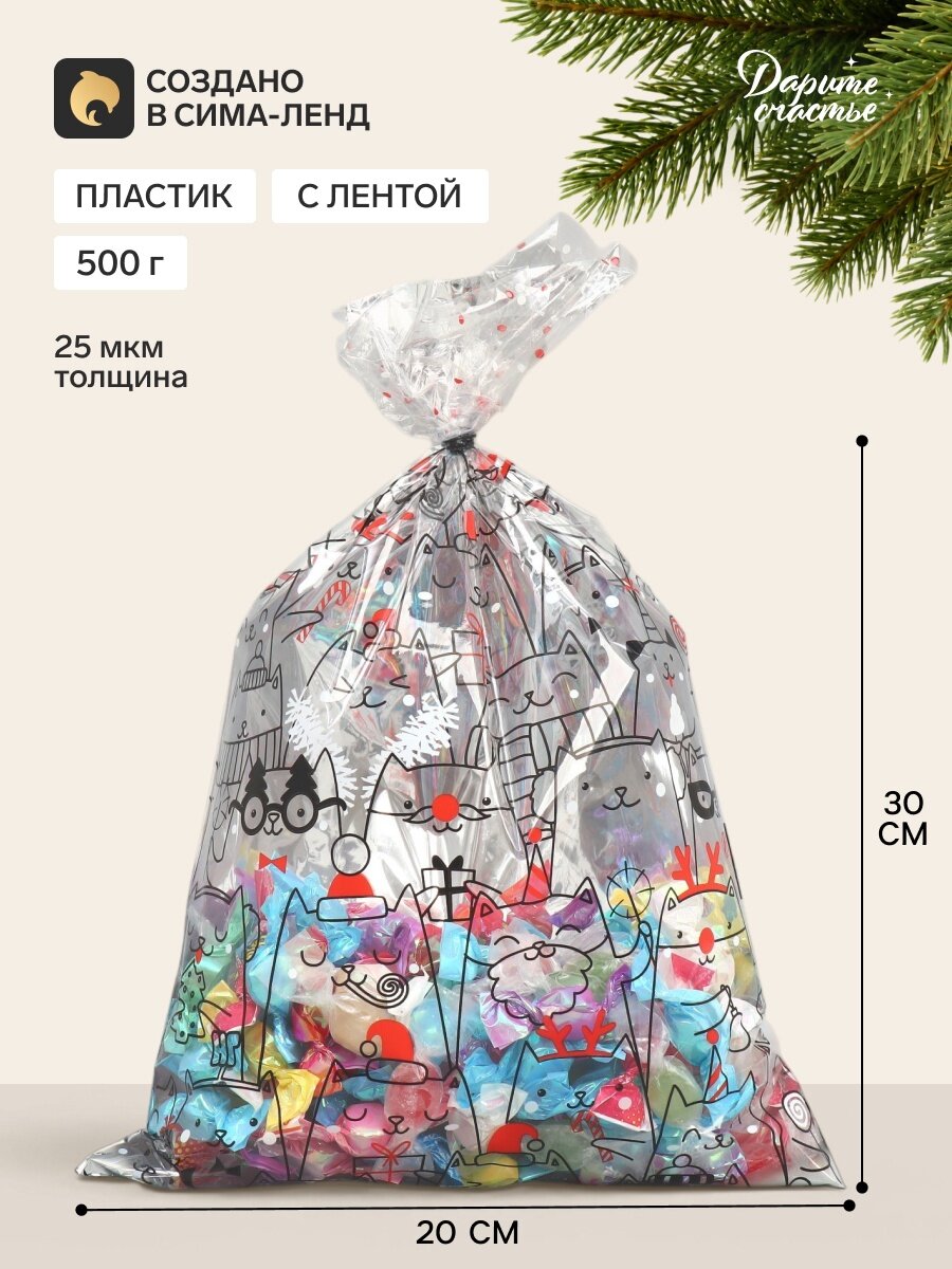 Подарочный пакет новогодний из пластика «Киса», 20×30 см