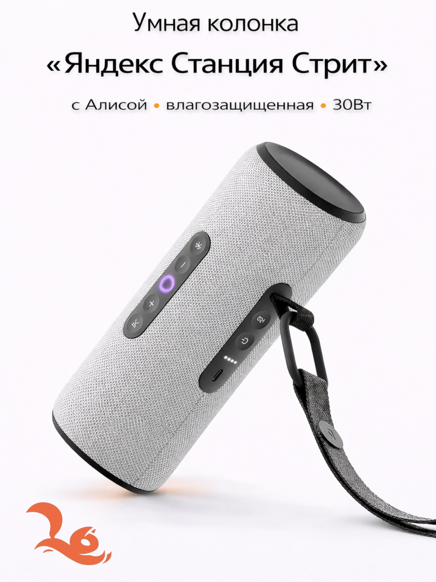 Портативная умная колонка Яндекс Станция Стрит с Алисой, 30 Вт, серый