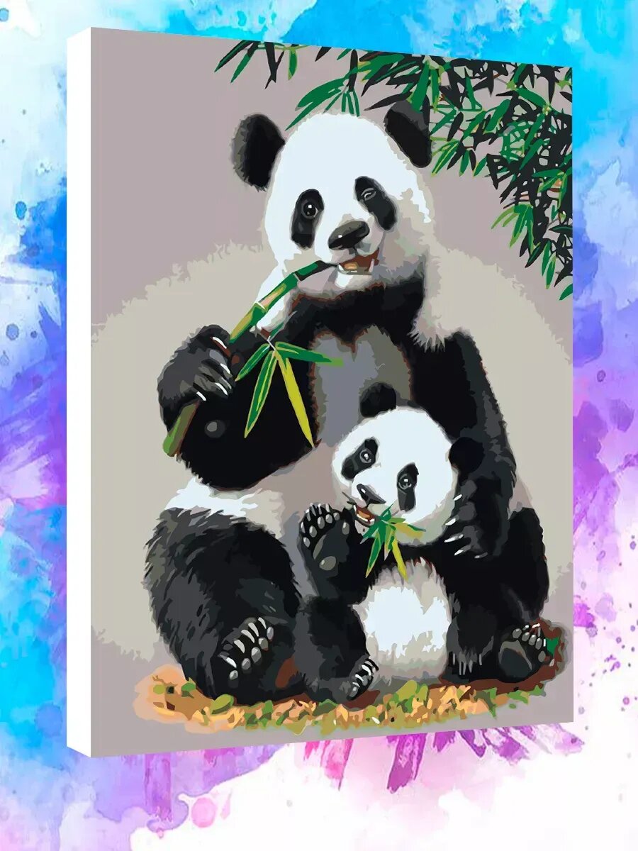 Картина по номерам Панда Семья Животные