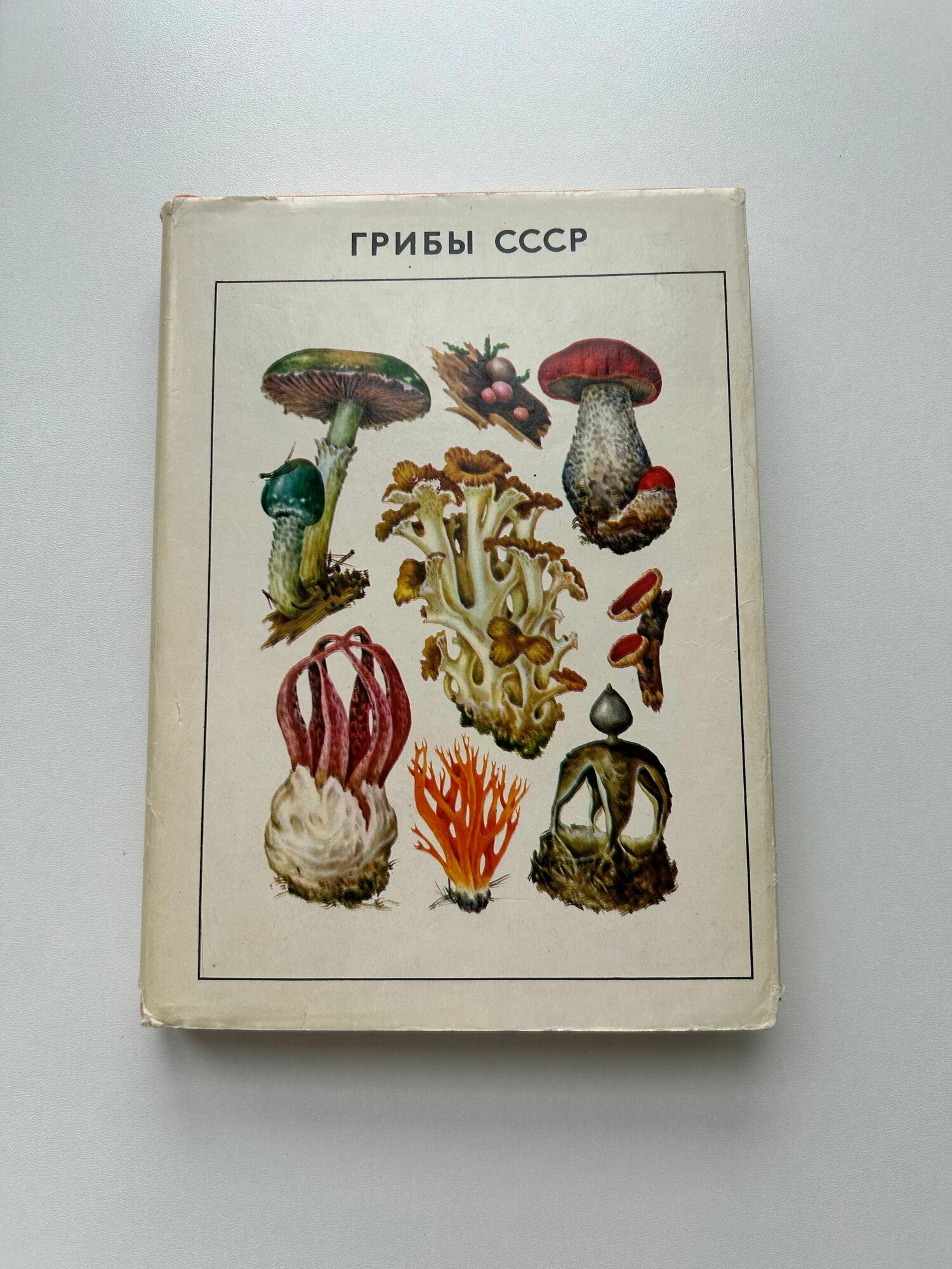 Книга Грибы СССР. Издание 1980 года