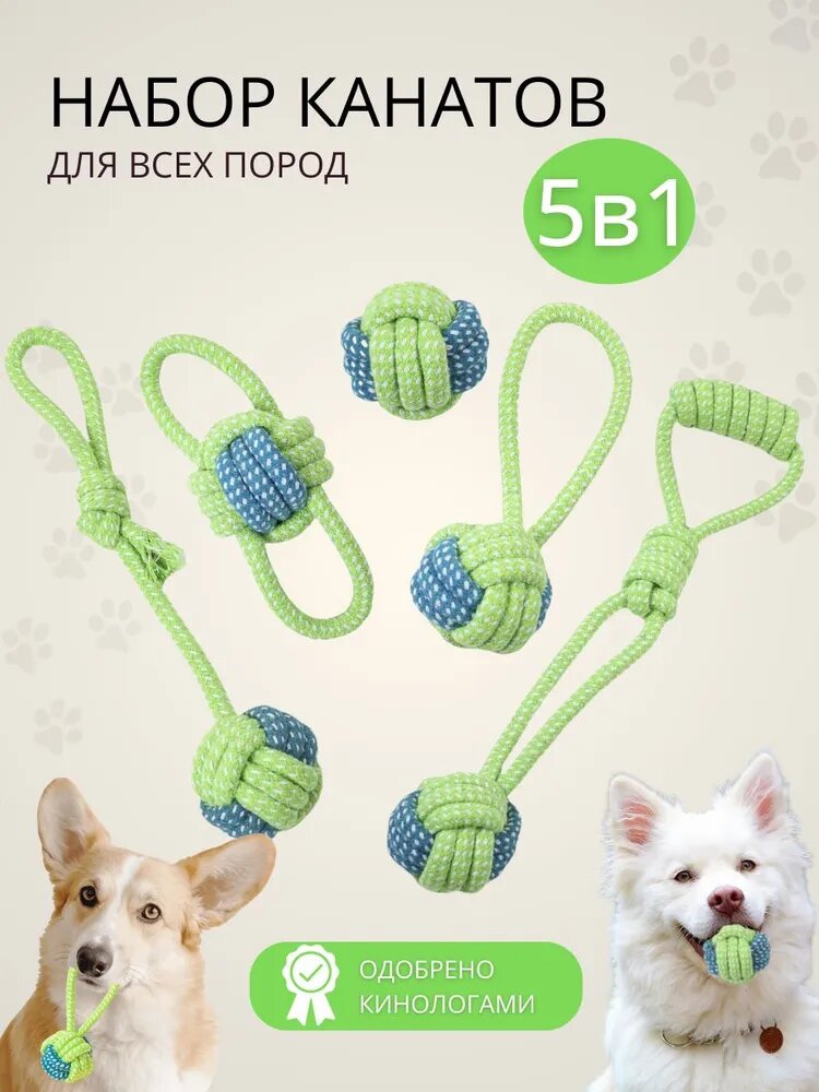 Игрушки для собак 5в1, набор игрушек для щенков и собак мелких и средних пород, резиновые, косточка, мяч, канат, кольцо, Paws&Tails
