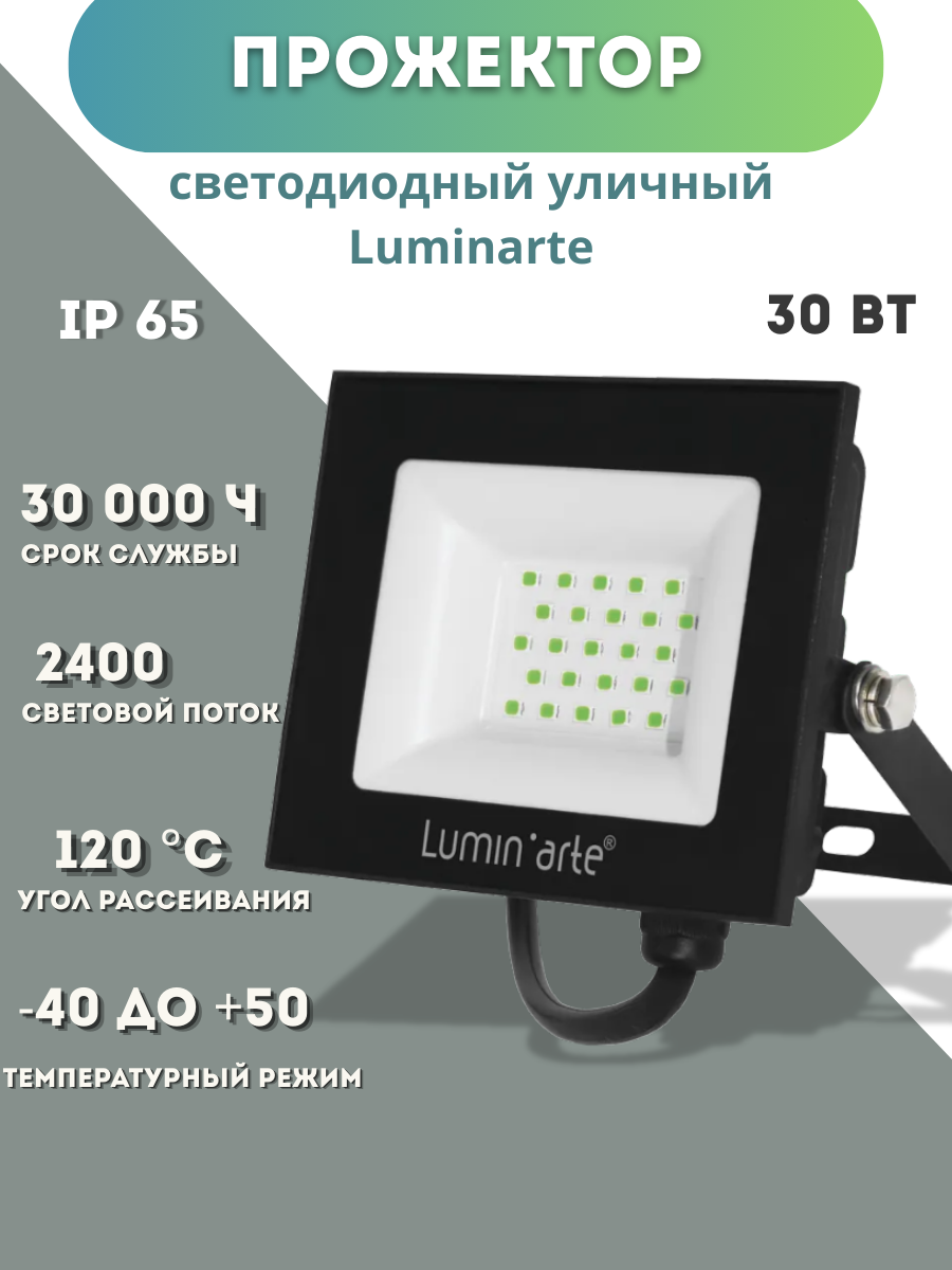 Уличный светодиодный прожектор Lumin'arte, 30Вт, IP65, дневной белый свет