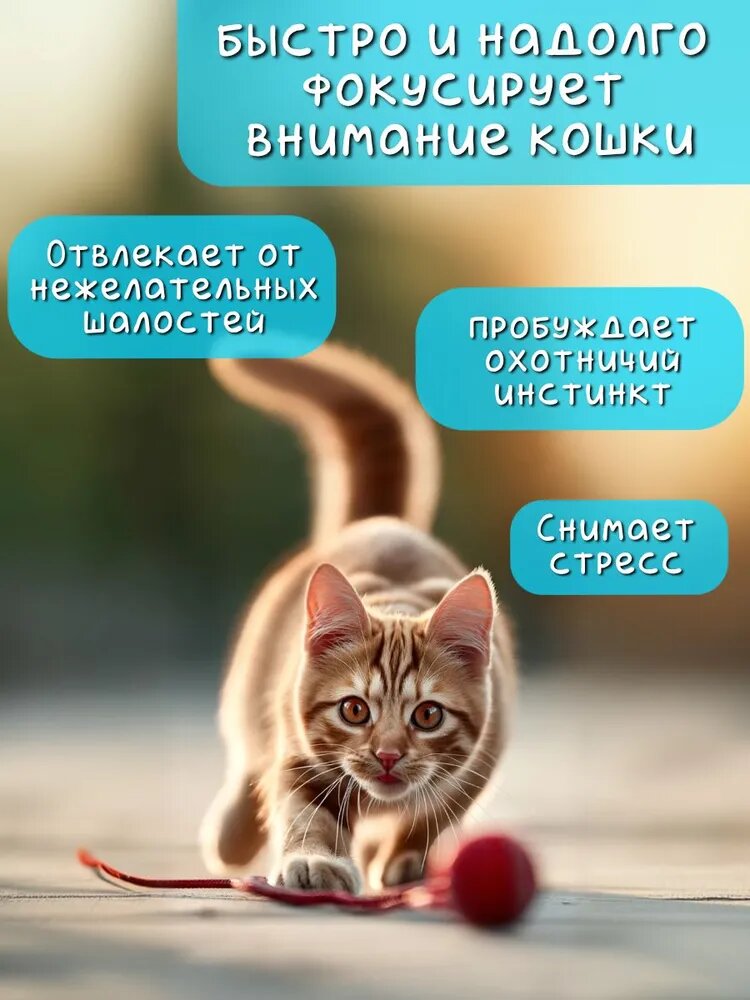 Игрушка для животных — фото 1