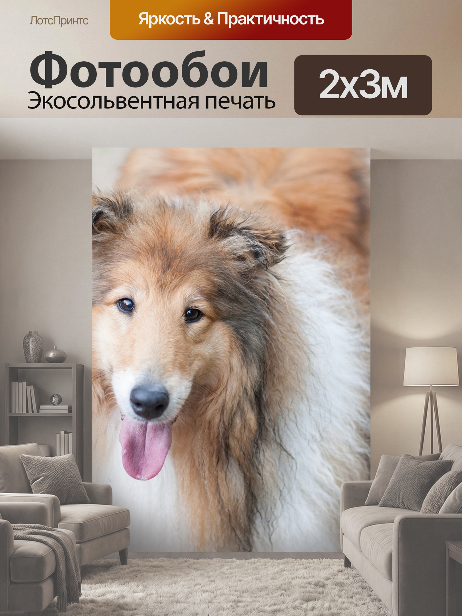 Фотообои "Собака, колли, волосатый" 200x300 см. экосольвентная печать