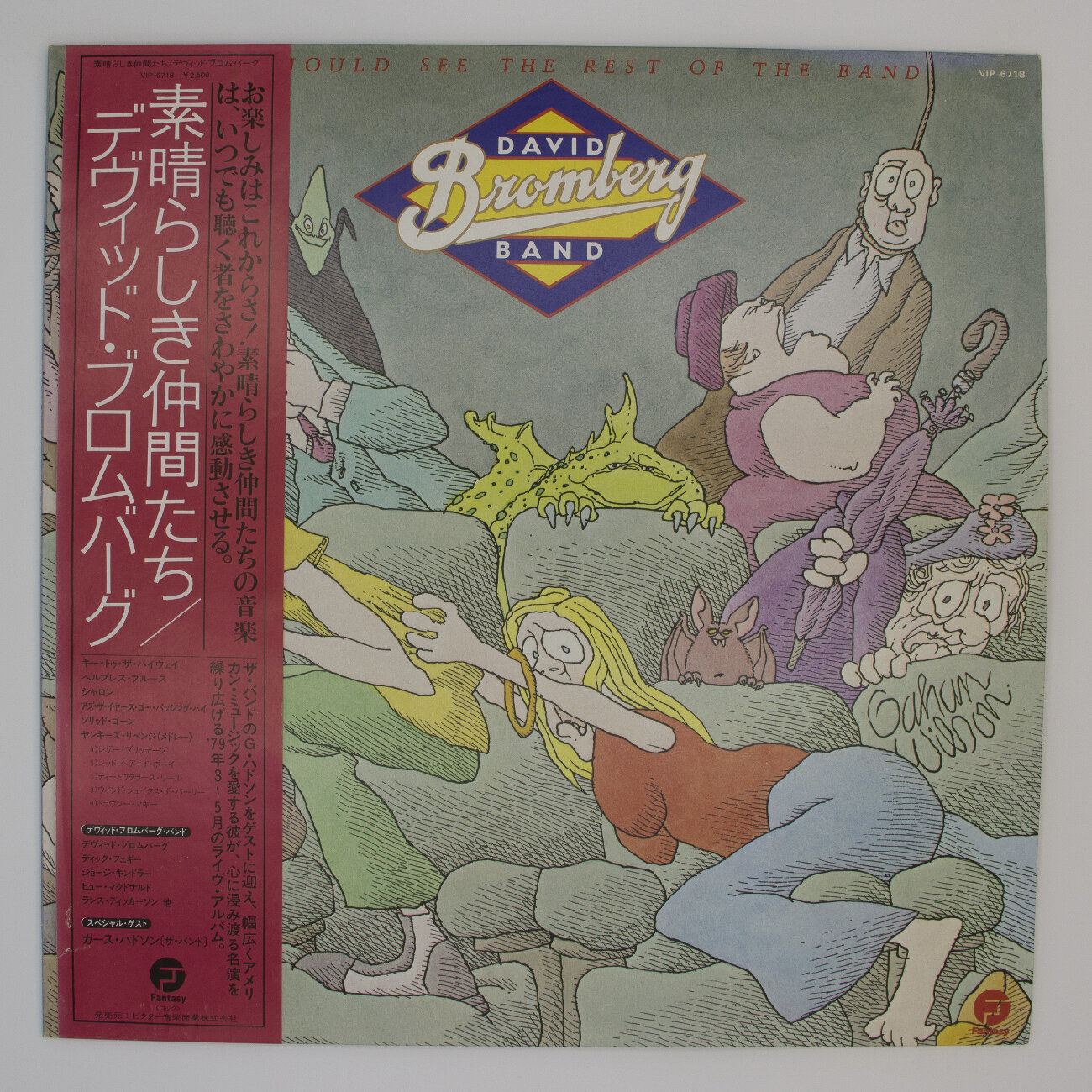 Виниловая пластинка The David Bromberg Band - You Should See The Rest Of The Band, 1xLP, EX