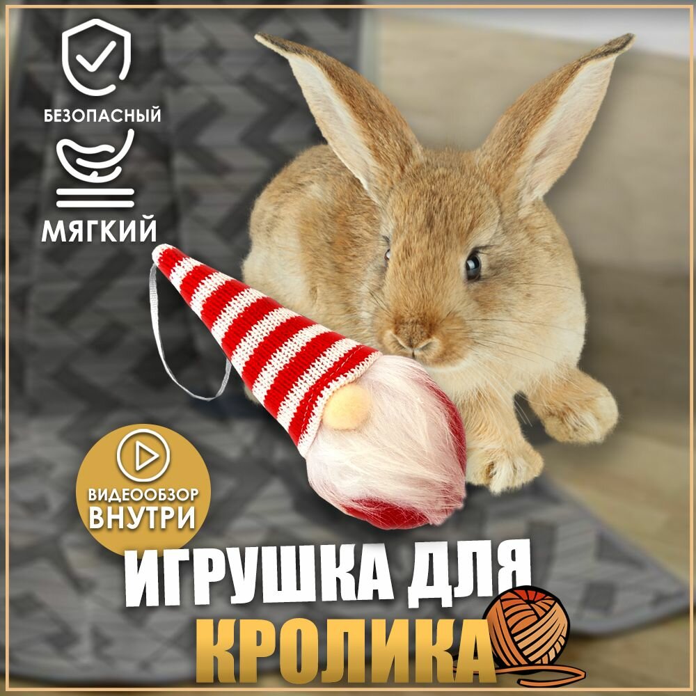 Игрушка для кролика гномик
