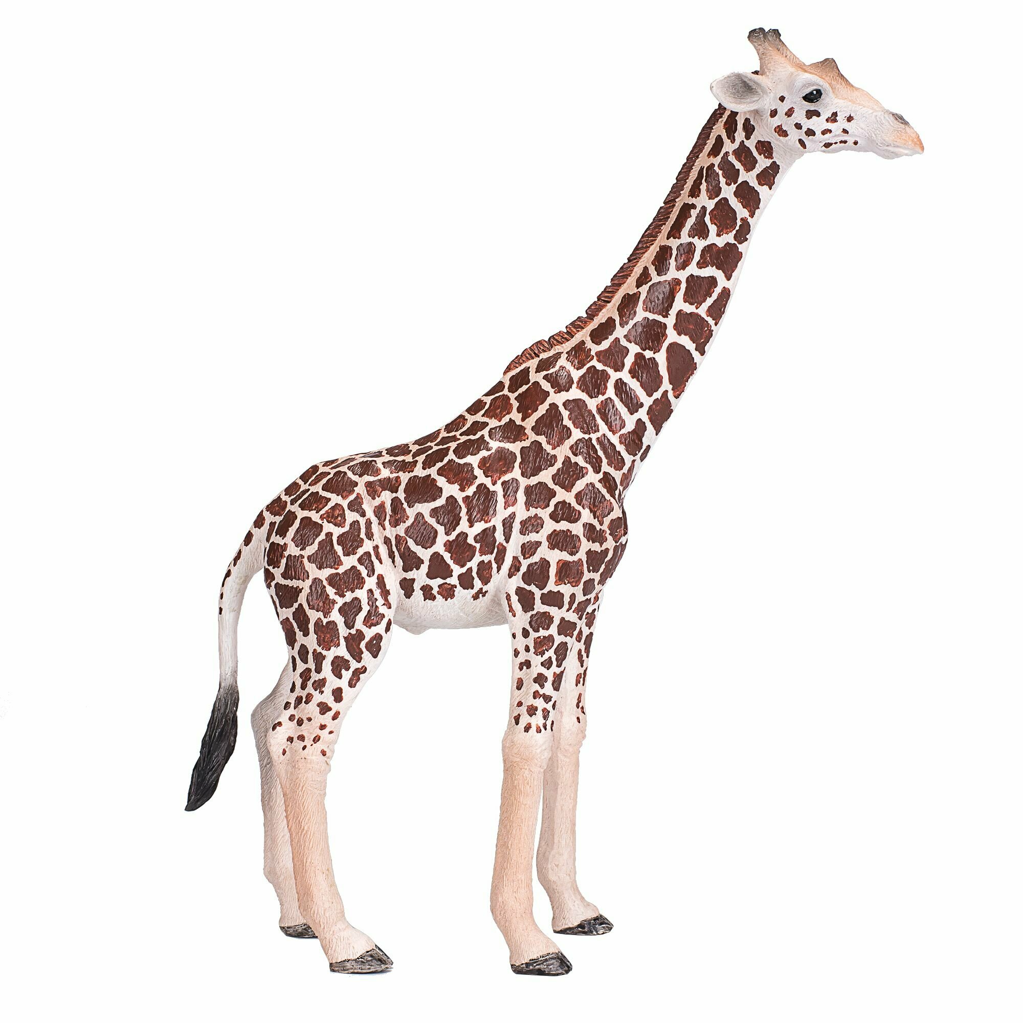 Фигурка-игрушка KONIK WILDLIFE Жираф, самец AMW2004, коллекционная фигурка