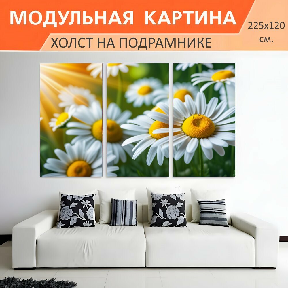 Модульная картина на холсте "С ромашкой максимал" триптих на подрамнике 225х120 см. для интерьера