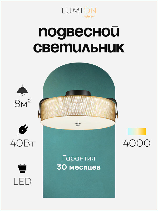 Потолочный светильник LUMION DRUMY 6597/40L LED 40W черный; бронзовый; латунь