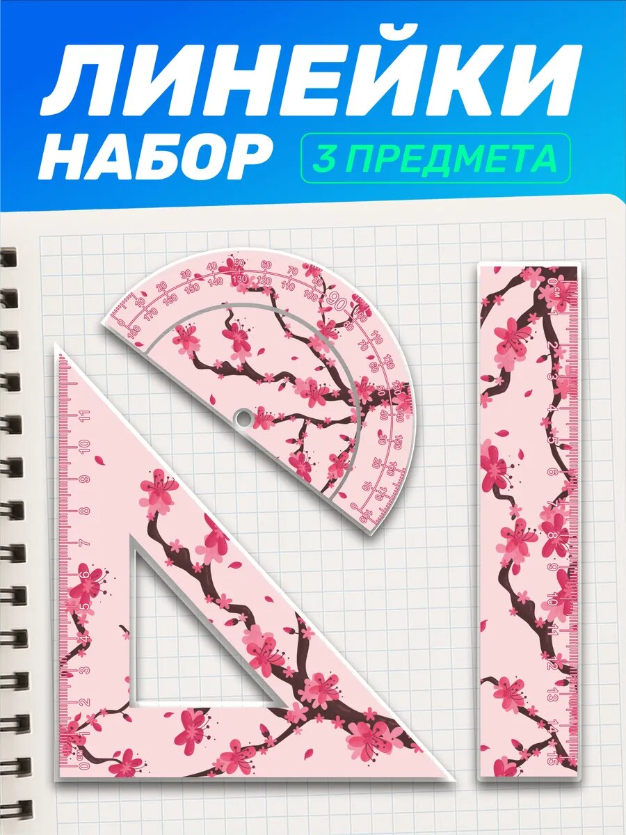 Набор линеек для школьника с транспортиром Цветы сакуры