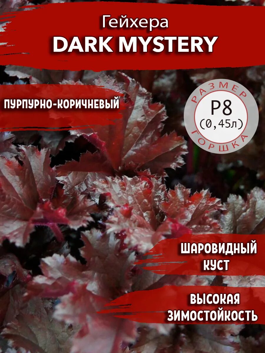 Гейхера Dark Mystery
