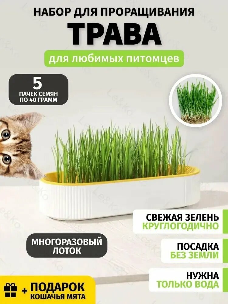 Наполнитель 100г.