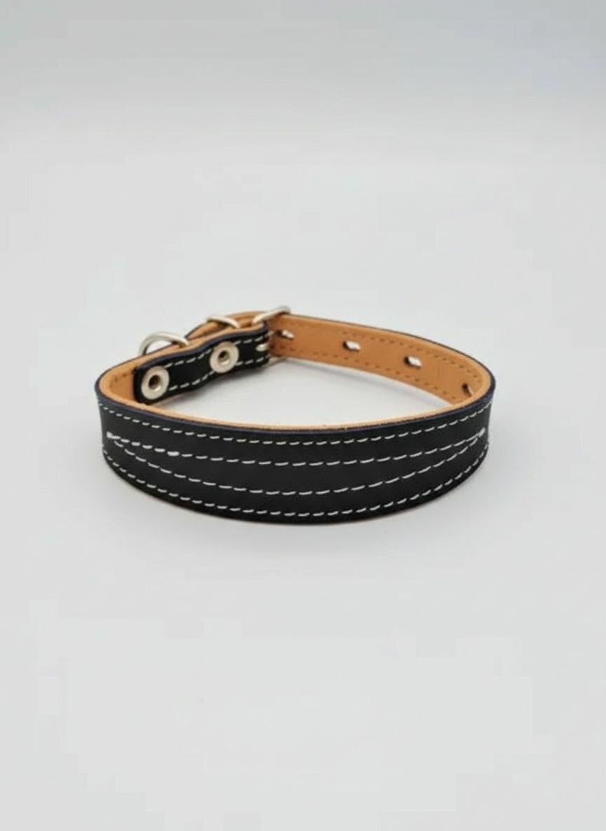 Ошейник для таксы и других LuckyDog