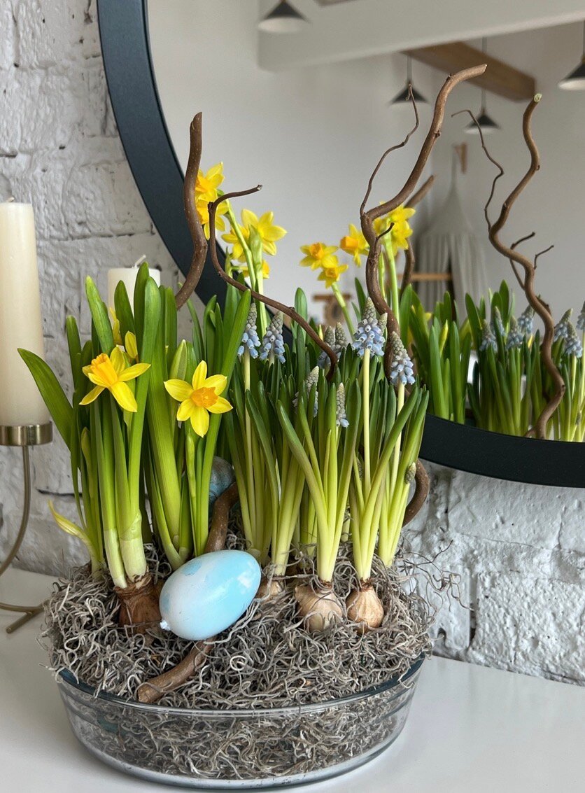 Композиция из мускари и нарциссов в стеклянной вазе