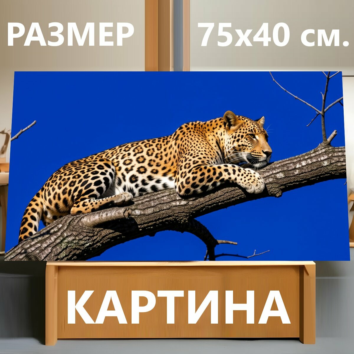 Картина на холсте "Леопард на сухом дереве. Хищная дикая кошка отдыхает на изогнутом стволе, яркий контраст пятнистой шерсти и насыщенного." на подрамнике 75х40 см. для интерьера