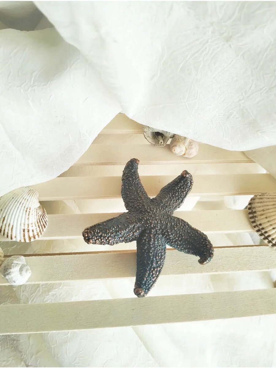 Сувенир интерьерный Морская звезда
