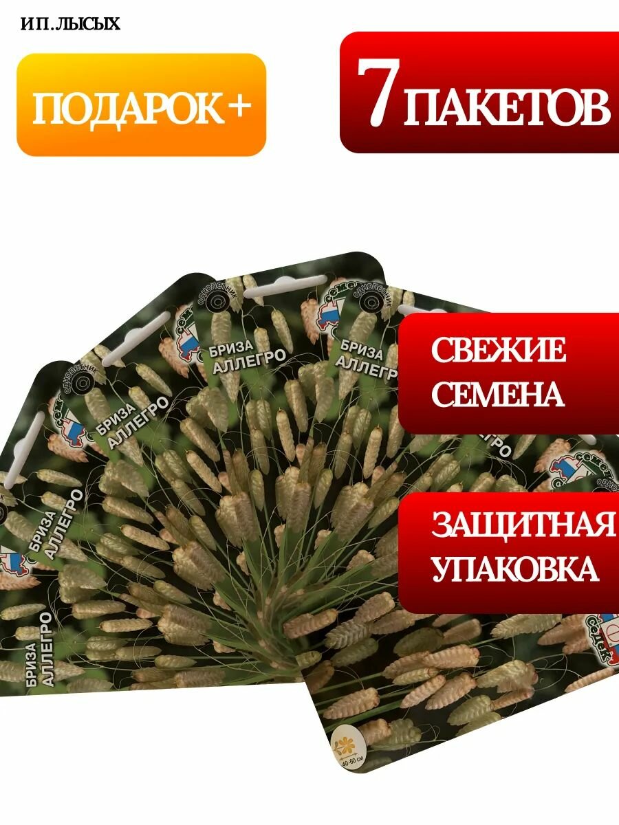 Семена Бриза "Аллегро"