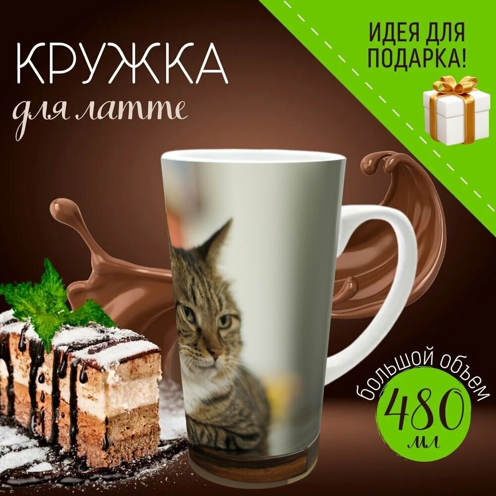 Кружка латте керамическая большая для чая и кофе с прикольным принтом "Китай шиншилла, leopard кошки, цветочная кошка" 500 мл.