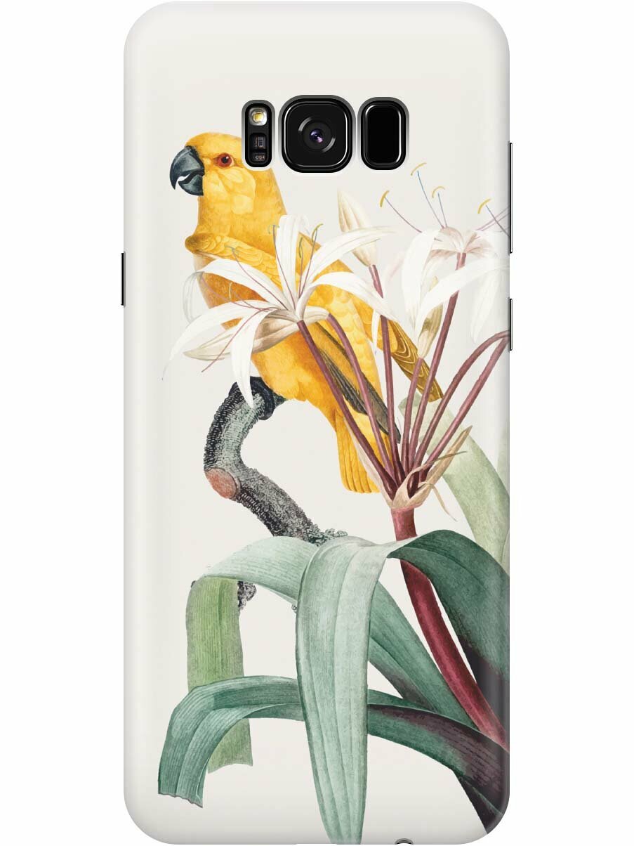 Накладка Transparent для Samsung Galaxy S8+ с принтом "Желтый попугай"