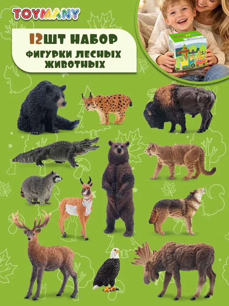 Toymany Набор фигурок животных, 12 шт, Североамериканское лесное животное, подарок для детей