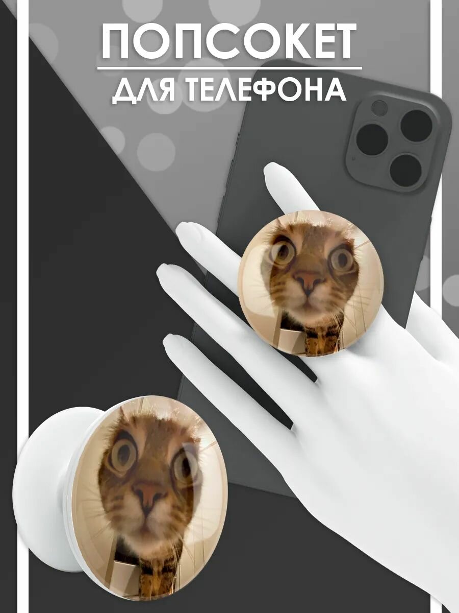 Попсокет Мемный кот, держатель для телефона