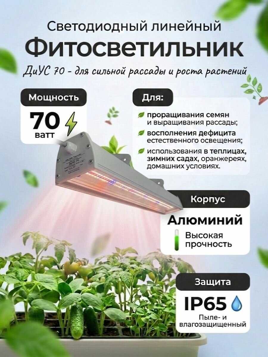 Светильник Светодиодный Фито ДиУС 70 - 70Вт, 11200Лм, Линейный, Для Дома, Для Теплиц