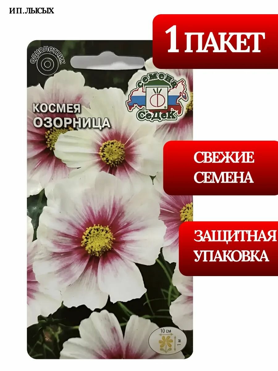 Семена Космея "Озорница"