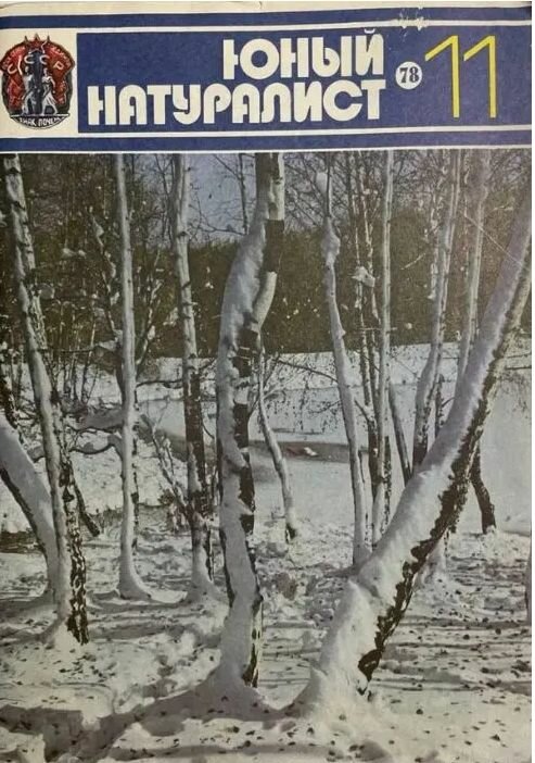 Журнал Юный натуралист №11 1978