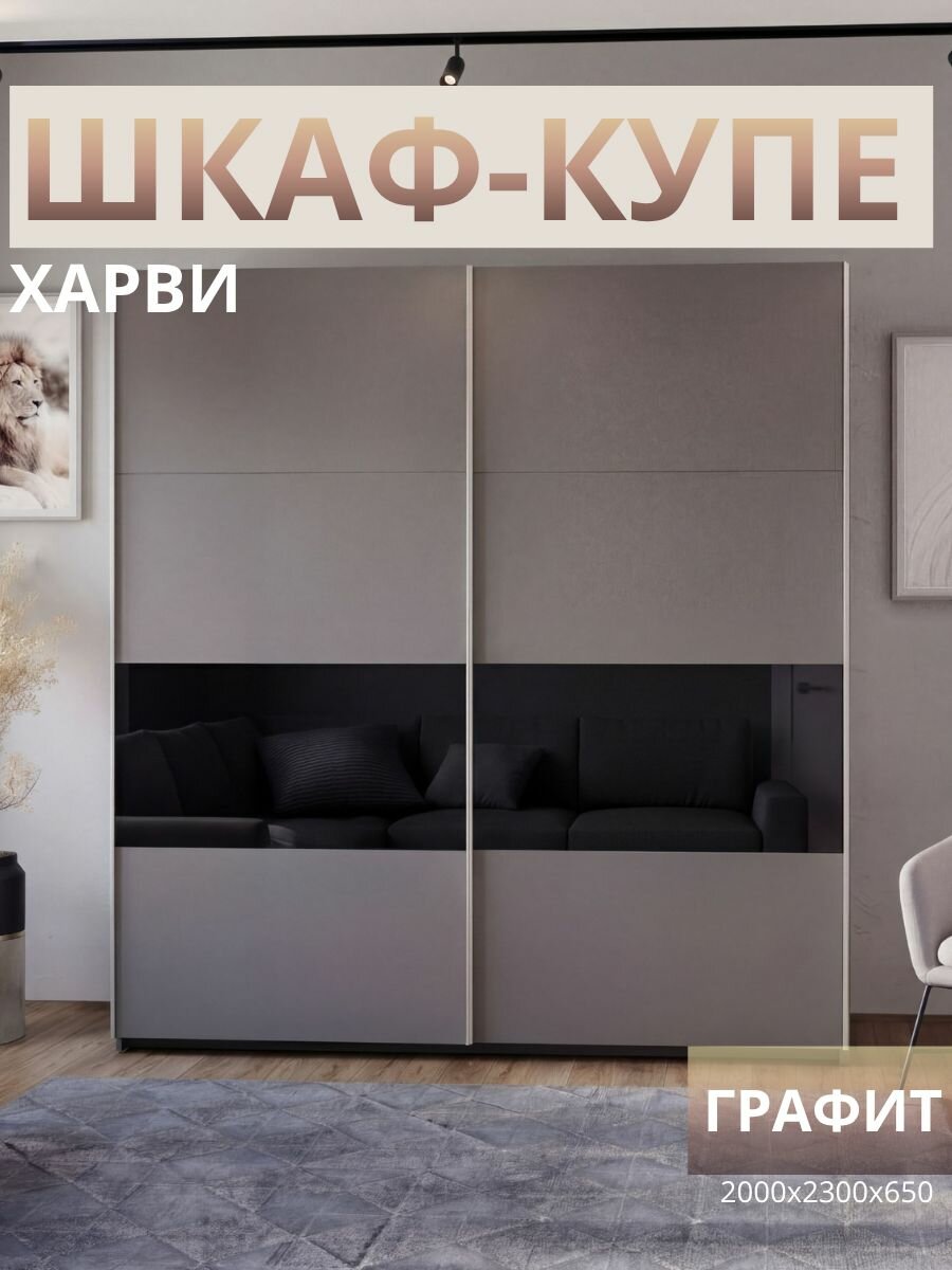Шкаф-купе для одежды "Харви" ШКК-10 Графит