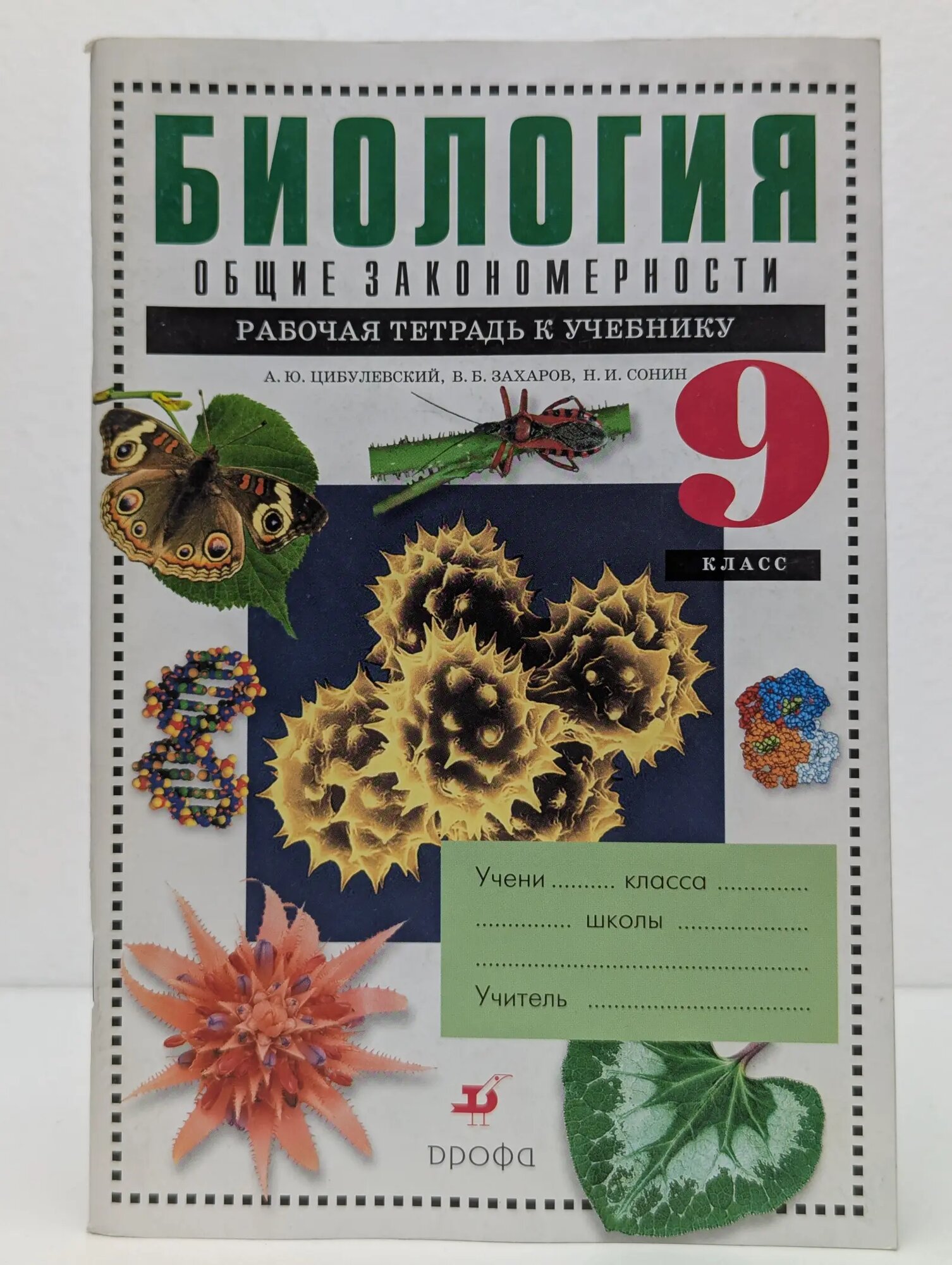 Биология. Общие закономерности. Рабочая тетрадь к учебнику. 9 класс Цыбульевский Александр Юрьевич, Захаров Владимир Борисович, Сонин Николай Иванович 2010
