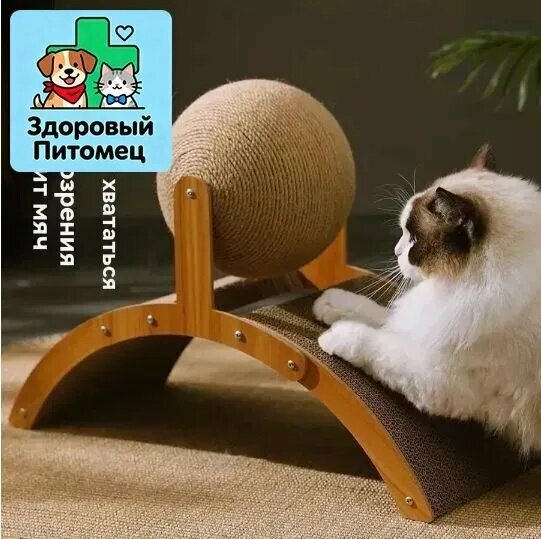 Когтеточка, Когтеточка-шар для котят и кошек